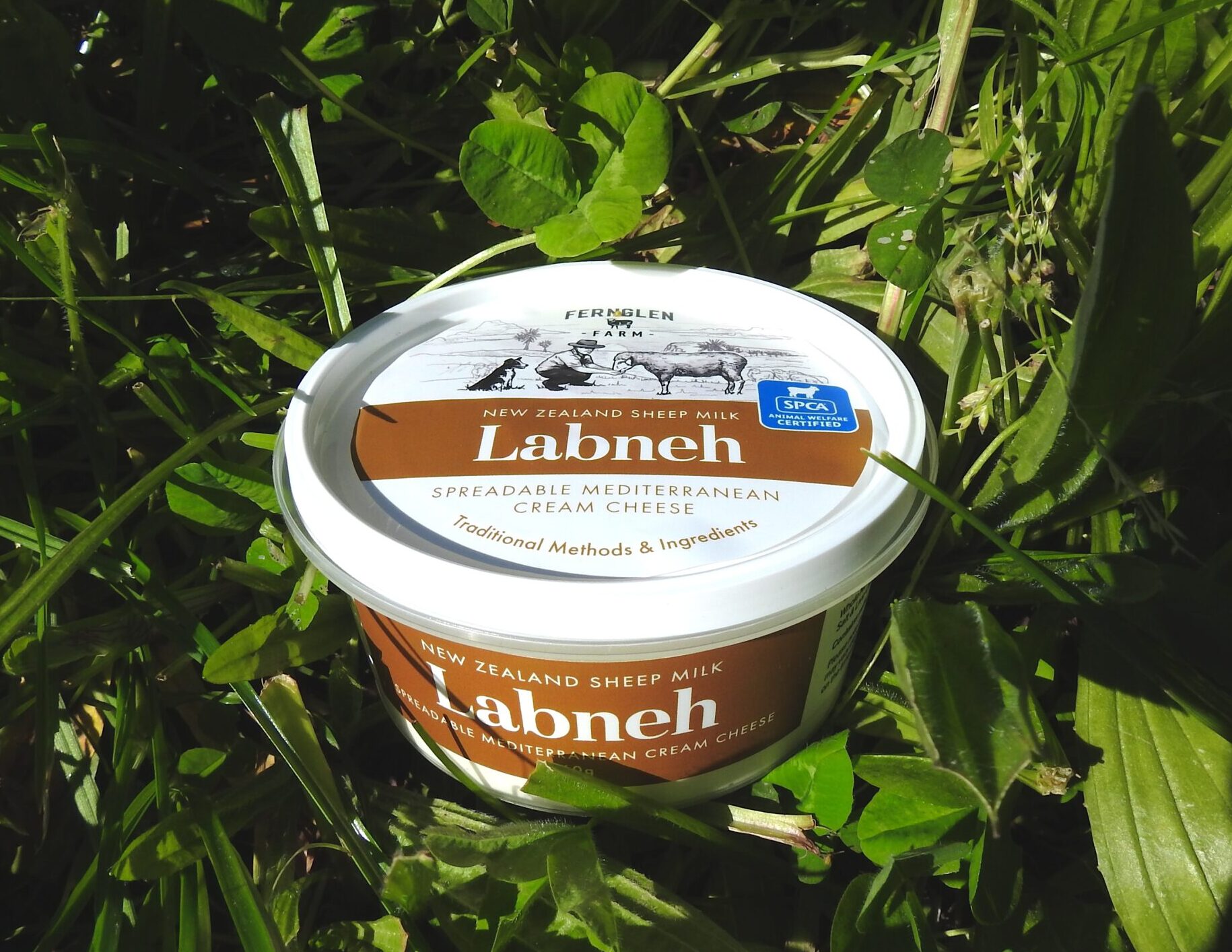 Fernglen Farm Sheep Milk 100% Natural, High-Protein & Digestible